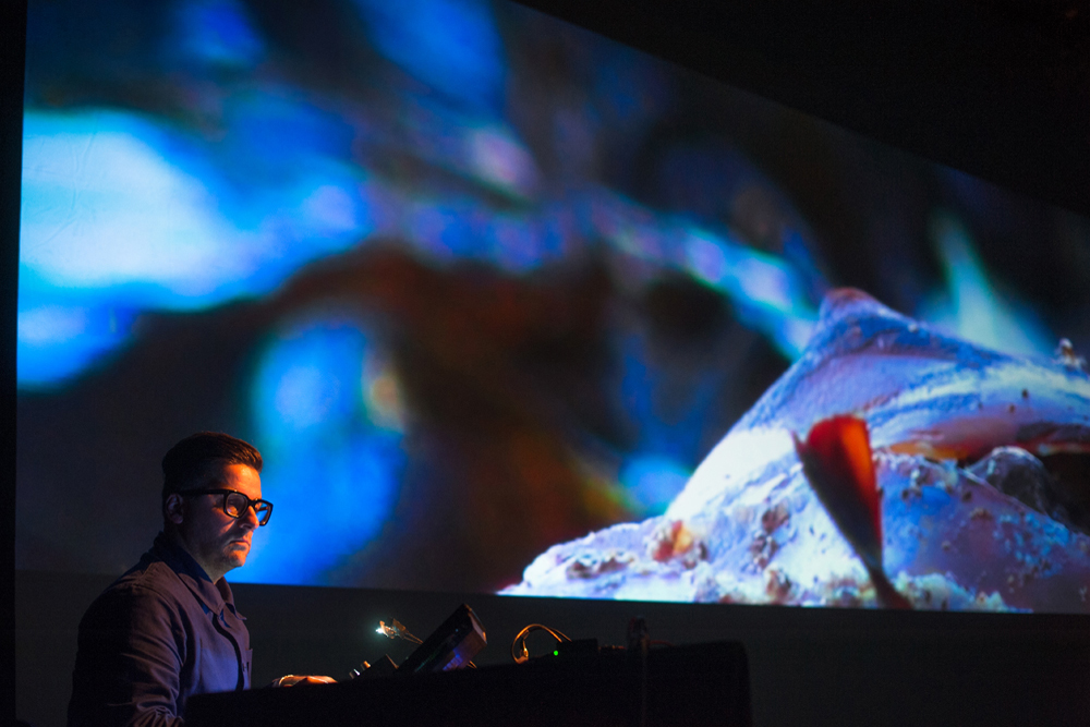 The Terrestrial Sea - Cryptic