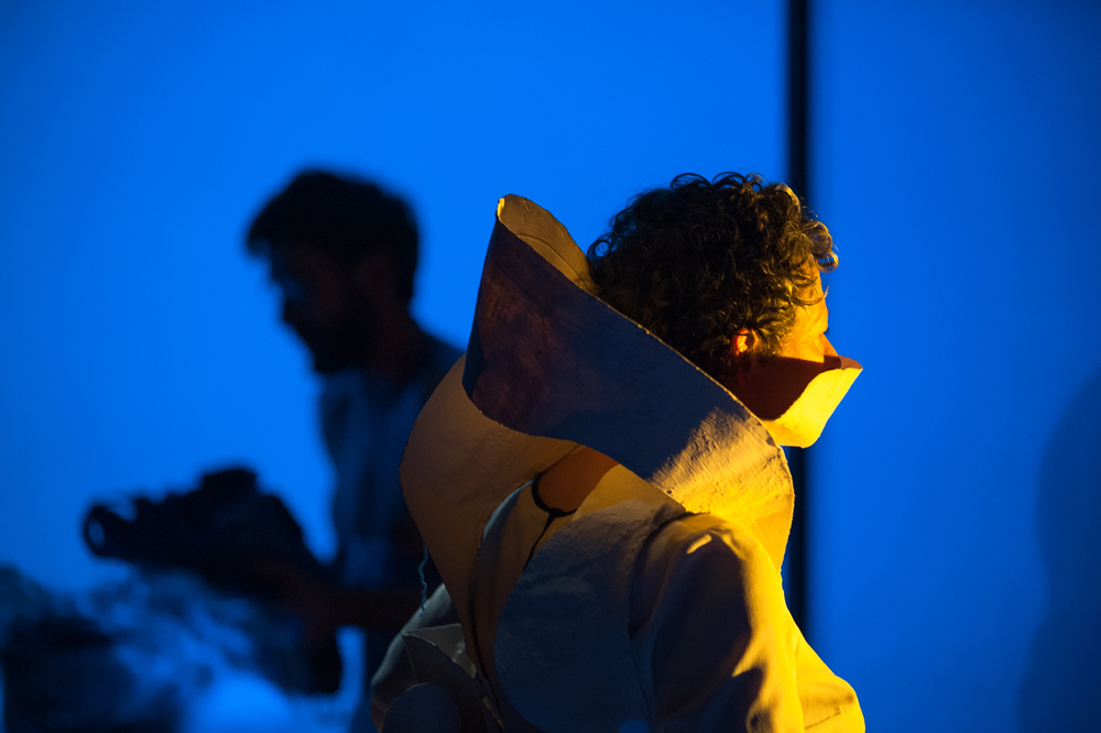 these delicate things - Cryptic