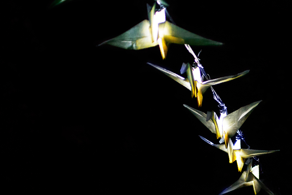 Luminous Birds - Cryptic