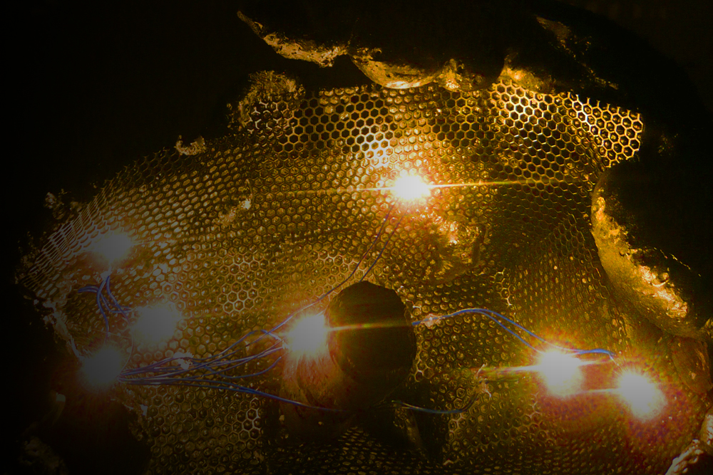 Sonic Lights - Cryptic