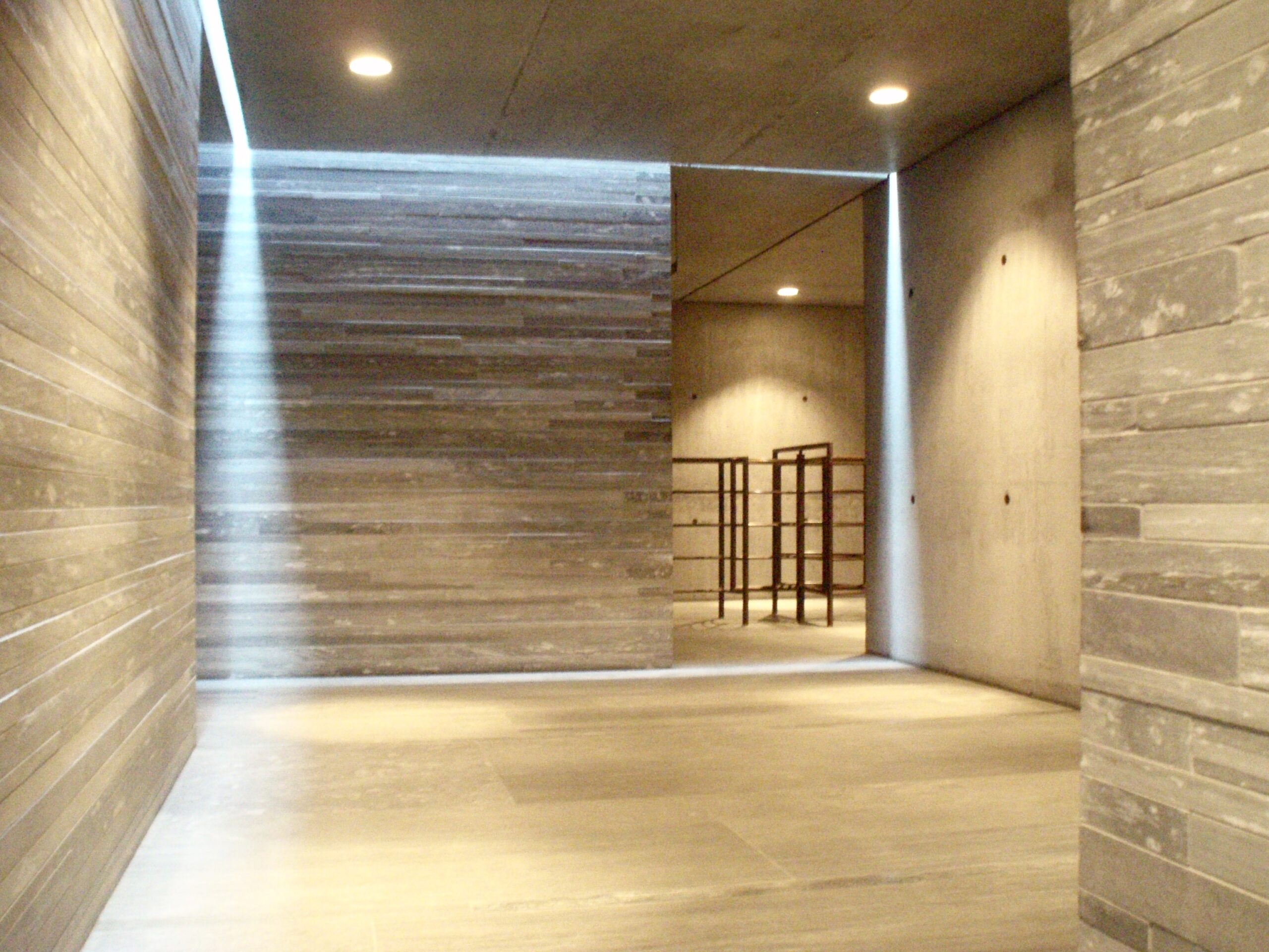 Meet the team - Cryptic